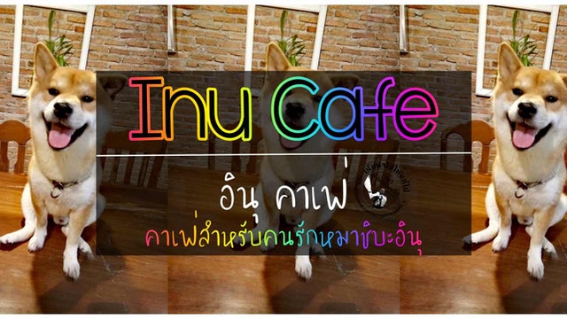 INU Cafe คาเฟ่ของคนรักหมาอินุ ณ หัวหิน