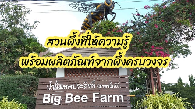 Big Bee Farm สวนผึ้งที่ให้ความรู้ พร้อมผลิตภัณฑ์จากผึ้งครบวงจร