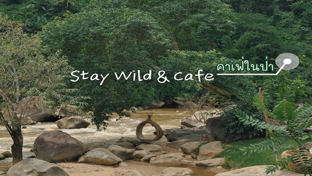 คาเฟ่ในป่า Stay Wild & Cafe
