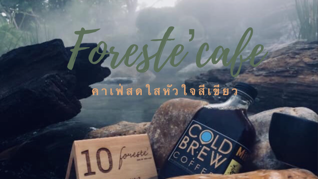 Foreste cafe คาเฟ่สดใสหัวใจสีเขียว