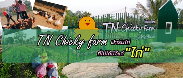 TN Chicky Farm ฟาร์มไก่ ที่ไม่ได้มีดีแค่ "ไก่"
