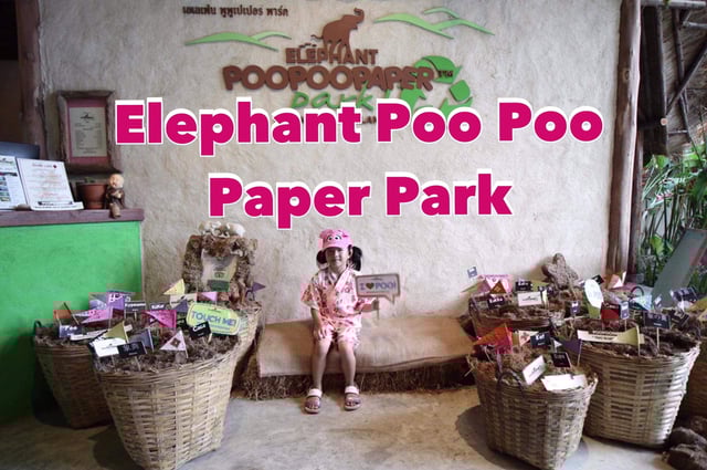 Elephant Poo Poo Paper Park