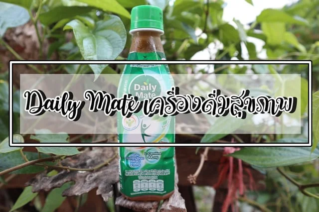 Daily Mate เครื่องดื่มสุขภาพ