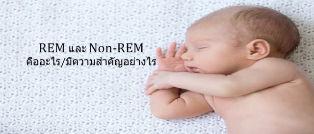 REM และ Non-REM คืออะไร/มีความสำคัญอย่างไร