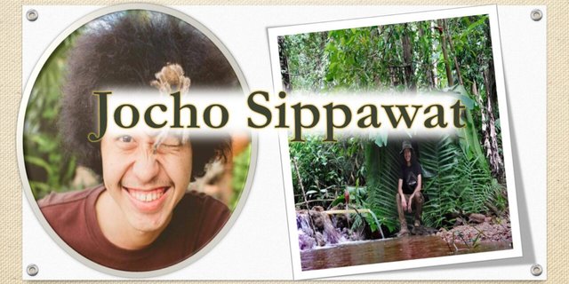 JoCho Sippawat (โจโฉ คนหัวฟู)