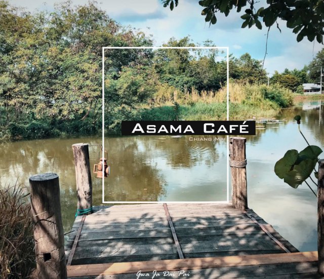 ASAMA กาแฟอร่อย ดี มาเชียงใหม่ทั้งที่ ไปเยือนหน่อยจะเป็นไร