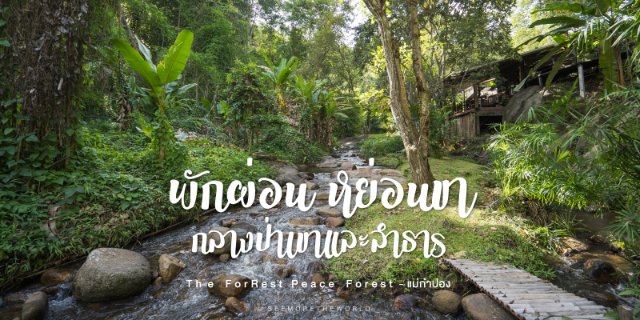 SEEMORETHEWORLD - พักผ่อน หย่อนขา กลางป่าเขาและลำธาร @ The ForRest ...