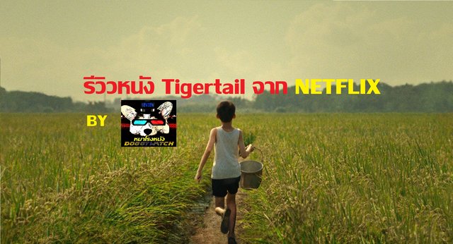 รีวิวหนัง Tigertail จาก Netflix