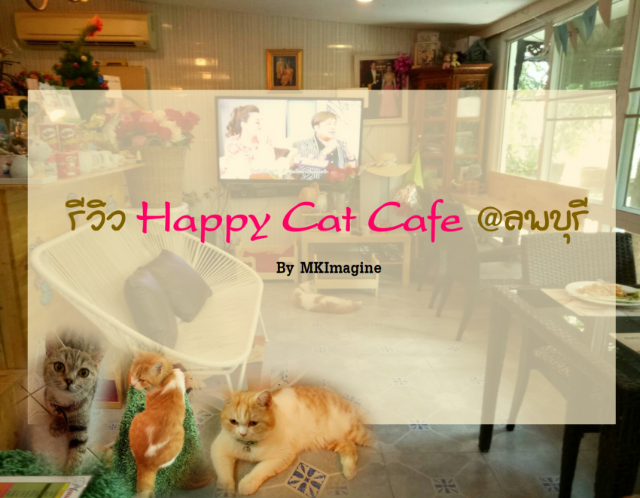 รีวิว Happy Cat Café @ลพบุรี