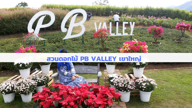 สวนดอกไม้ PB Valley เขาใหญ่