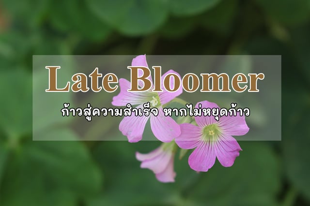 แม้ชีวิตก้าวช้าอย่าง "Late Bloomer" แต่ก็ก้าวสู่ความสำเร็จ หากไม่หยุดก้าว