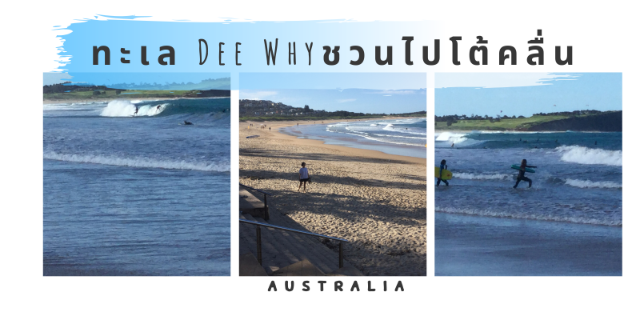 ทะเล Dee Why ชวนไปโต้คลื่น