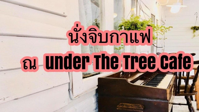 นั่งจิบกาแฟ ณ Under The Tree Cafe