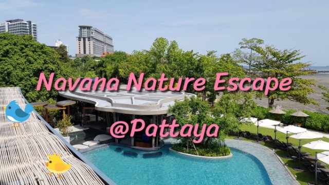 รีวิว Navana Nature Escape @Pattaya ที่พักโมเดิร์นเรียบหรูบรรยากาศโรแมนติก