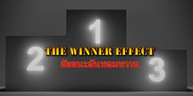 The Winner Effect ชัยชนะอันหอมหวาน