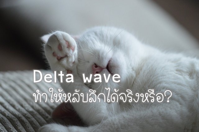 Delta wave ทำให้หลับลึกได้จริงหรือ?
