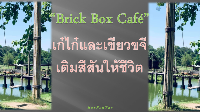 "Brick Box Cafe" เก๋ไก๋และเขียวขจี เติมสีสันให้ชีวิต