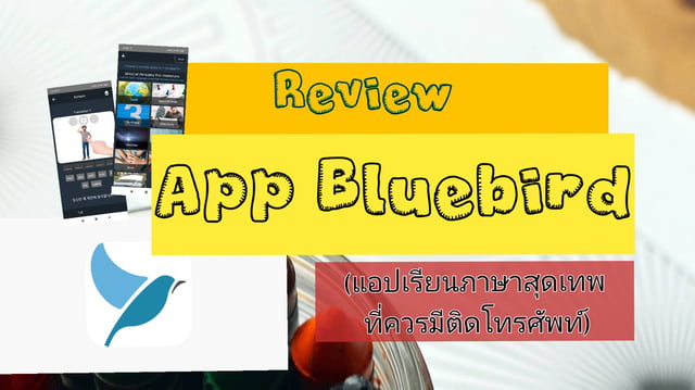 Review App Bluebird แอปเรียนภาษาสุดเทพที่ควรมีติดโทรศัพท์