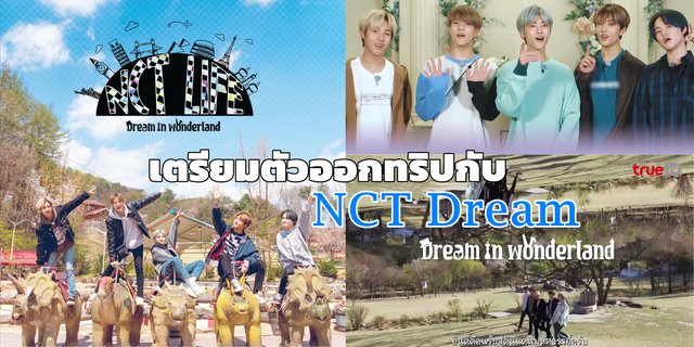 ผลการค้นหา “nct” - ทรูไอดี
