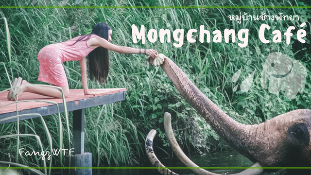 Mongchang Café มองช้างคาเฟ่ จิบกาแฟแลช้าง ที่หมู่บ้านช้างพัทยา