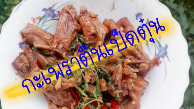 ผัดกะเพราตีนเป็ดตุ๋น