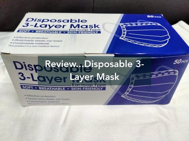 Review...Disposable 3-Layer Mask