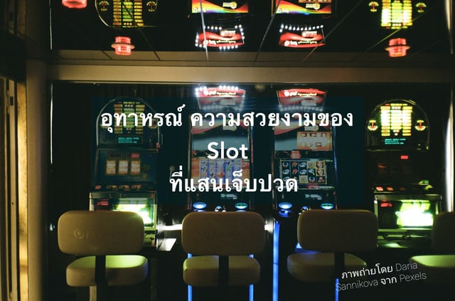ผลการค้นหา “slot” - ทรูไอดี