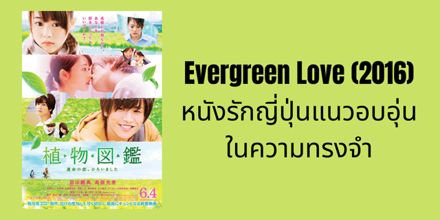 หนังรักญี่ปุ่นในความทรงจำ Evergreen Love (2016)