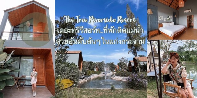 ที่พักแก่งกระจาน The Tree Riverside Resort รีสอร์ทที่โอบล้อมไปด้วย ...