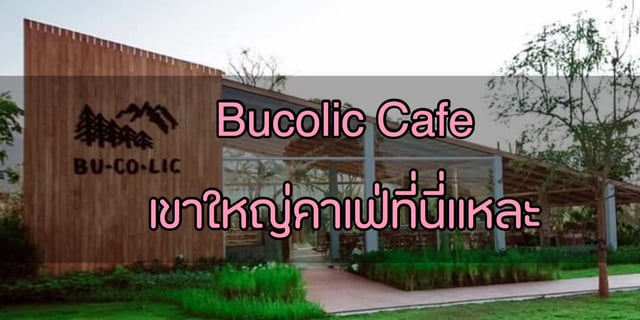 Bucolic Cafe :เขาใหญ่คาเฟ่ที่นี่แหละ
