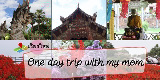 เชียงใหม่: One day trip with my mom