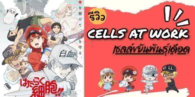 รีวิวอนิเมะ เซลล์ขยันพันธุ์เดือด Cells At Work #รีวิว2