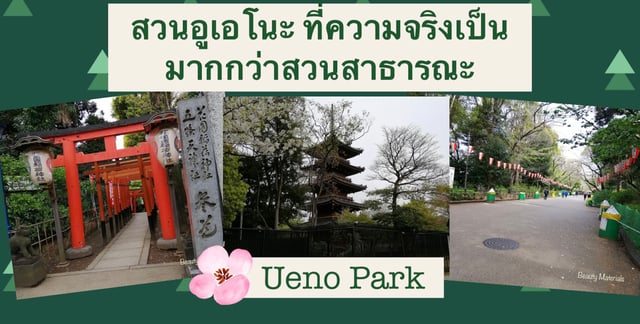 Ueno Park @Tokyo สวนอูเอโนะ ที่ความจริงเป็นมากกว่าสวนสาธารณะ