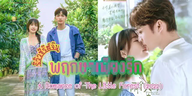 รีวิว พฤกษาเพียงรัก / A Romance of The Little Forest (2022) ซีรีส์จีน โรแมนติกคอมเมดี้ แสดงโดย ...