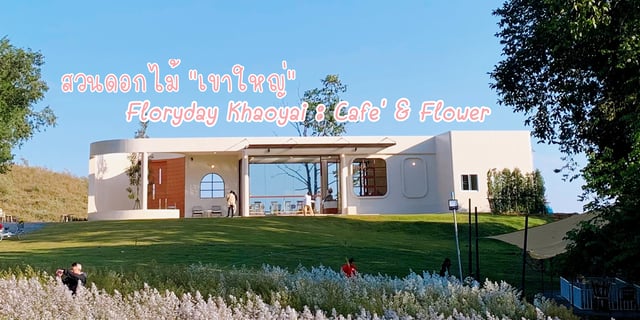 ที่เที่ยวเขาใหญ่เปิดใหม่ ทุ่งดอกไม้สวย Floryday Khaoyai : Cafe & Flower