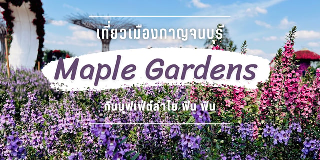 รีวิวเที่ยวเมืองกาญจนบุรี Maple Gardens สวนเมเปิ้ล กินบุฟเฟ่ต์ลำไย ฟิน ฟิน