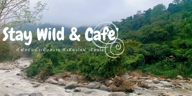 Stay Wild & Cafe ที่พักริมน้ำ เชียงใหม่ เชียงใจ