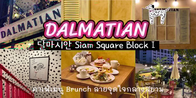 Dosan Dalmatian Thailand คาเฟ่เมนู Brunch ลายจุดใจกลางสยาม ส่งตรงจาก ...