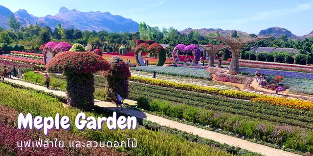Meple Garden บุฟเฟ่ลำไย และสวนดอกไม้ มาเที่ยวถึงกาญจนบุรีต้องแวะ แล้วจะ ...