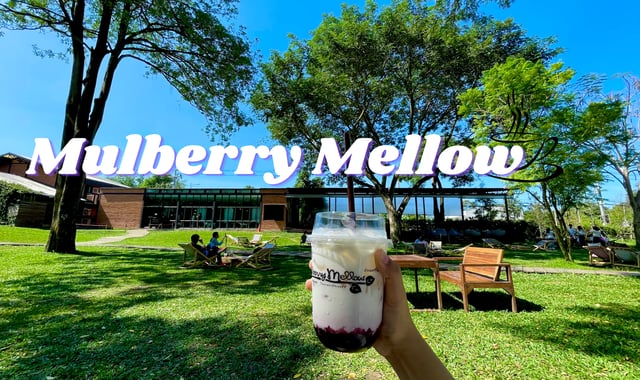 Mulberry Mellow คาเฟ่แนวธรรมชาติ จังหวัดกาญจนบุรี