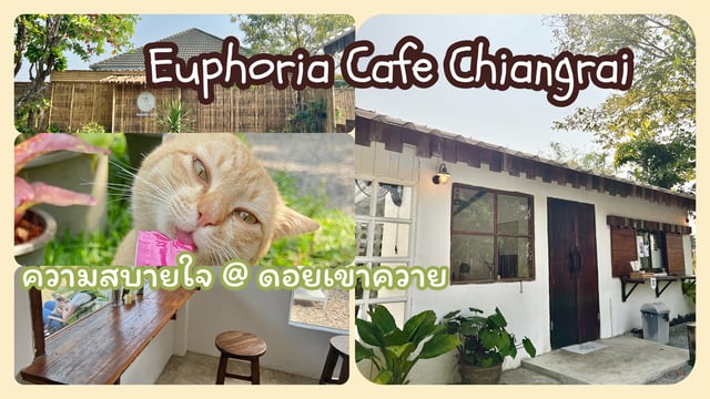Euphoria cafe ความสบายใจ ดอยเขาควาย เชียงราย