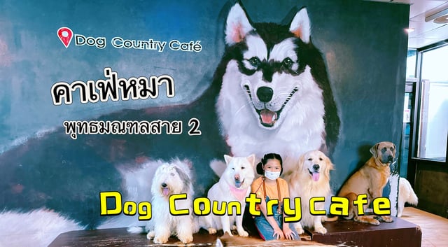 คาเฟ่หมา Dog Cafe Country พุทธมณฑลสาย 2 ฟินกันแบบไม่จำกัดเวลา