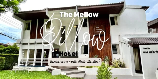 The Mellow Pillow Hotel ที่พักน่าสนใจ เชียงใหม่ ใกล้ถนนคนเดินวัวลาย