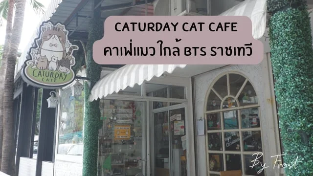 Caturday Cat Cafe คาเฟ่แมว ใกล้ BTS ราชเทวี