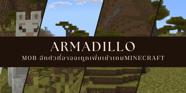 "Armadillo" Mob อีกตัวที่อาจถูกเพิ่มเข้าเกม Minecraft