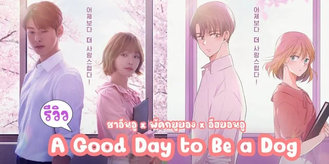 รีวิว A Good Day to be a Dog ชาอึนอู x พัคกยูยอง x อีฮยอนอู ซีรีส์ ...