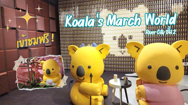 พาชมเจ้าน้องหมีสุดคิ้วท์ นิทรรศการ Koala's March World @River City ...