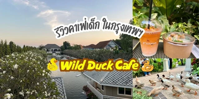 รีวิว Wild Duck Cafe คาเฟ่เด็ก ในกรุงเทพฯ สนุกสนาน สวยงามดั่งโลกเทพนิยาย