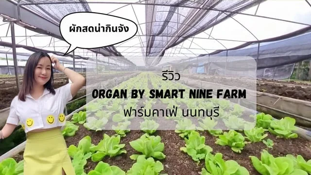 Organ by Smart Nine Farm ฟาร์มคาเฟ่ นนทบุรี