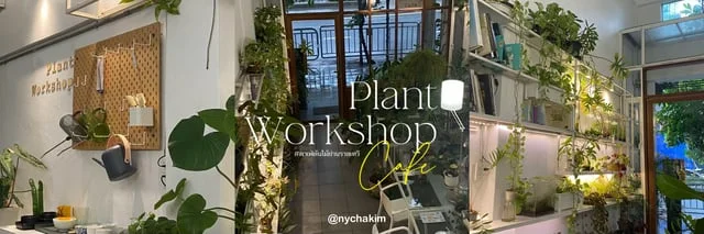 รีวิว Plant Workshop Cafe ค่าเฟ่ต้นไม้ย่านราชเทวี